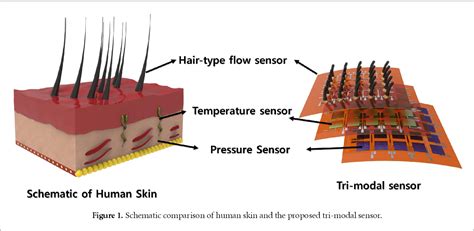 Figure 1 From Flexible And Printed Electronics Flexible Multimodal Sensor Inspired By Human Skin