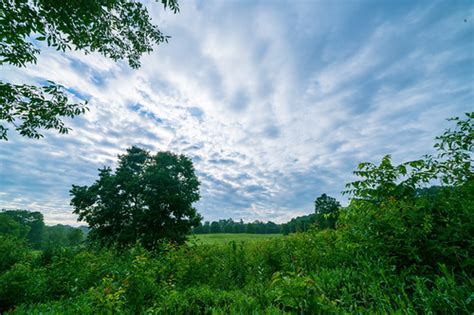 Rachel Carson Conservation Area In Maryland Danielle Brigida Flickr