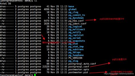 Postgresql 数据库 Pg数据库的全安装教程yum二进制，源码编译）pg数据库安装 Csdn博客