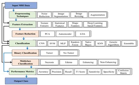 Overview Of The Steps And Methods Involved In Brain Tumor Download