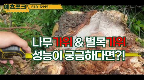 벌목 나무 가위 Youtube