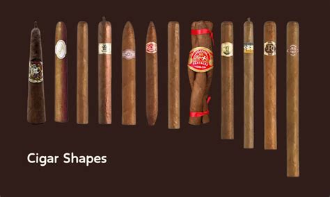 Cigar Shapes And Sizes Do They Affect The Smoking Experience