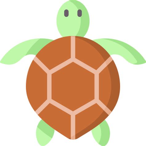 turtle special flat icon