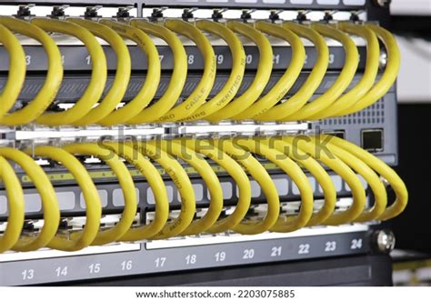 Connecting Ethernet Switch Using Patch Cords Stock Photo Shutterstock