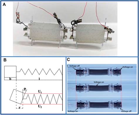 Frontiers Actuation And Design Innovations In Earthworm Inspired Soft Robots A Review