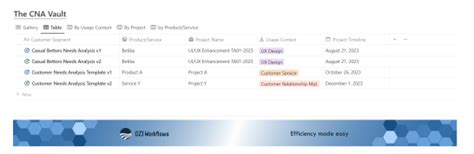 Customer Needs Analysis Prototion