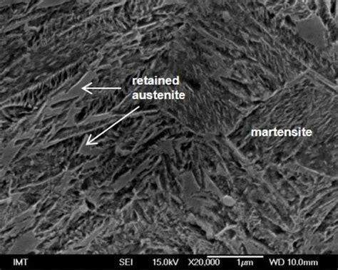 fe sem microstructure of the tool sample quenched and tempered from