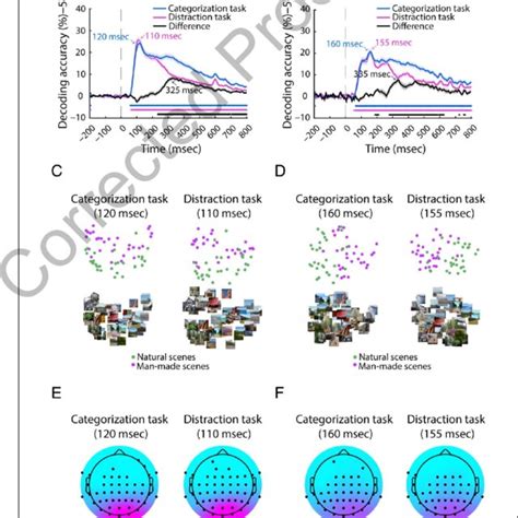 Scene Identity And Category Decoding A Pairwise Scene Identity