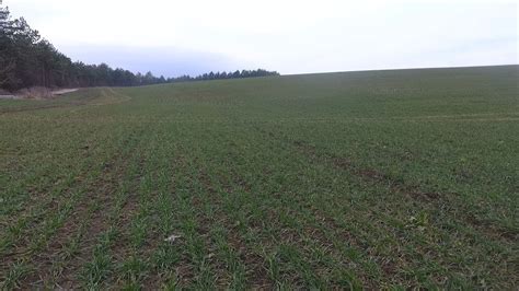 Растителна защита в житни от Corteva Agriscience™ Семинар в Русе