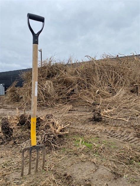 Progress Report 121622 — Grasshopper Farms