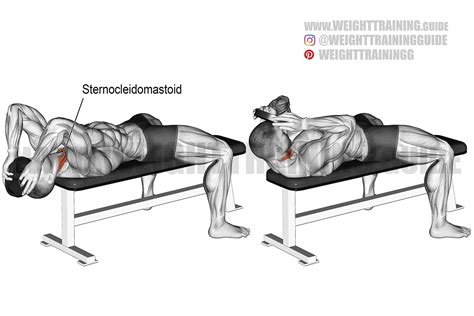 Sternocleidomastoid Muscle Exercises