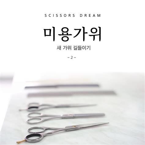 미용가위 판매 L 가위드림 김성진 유스헤어 붙임머리and헤어살롱 은혜원장님 감사합니다 ⋰˚★ 💈 엑시온 Xi6 클리퍼 완벽한 스타일링을 위한 클리퍼 슬림하고 치밀한