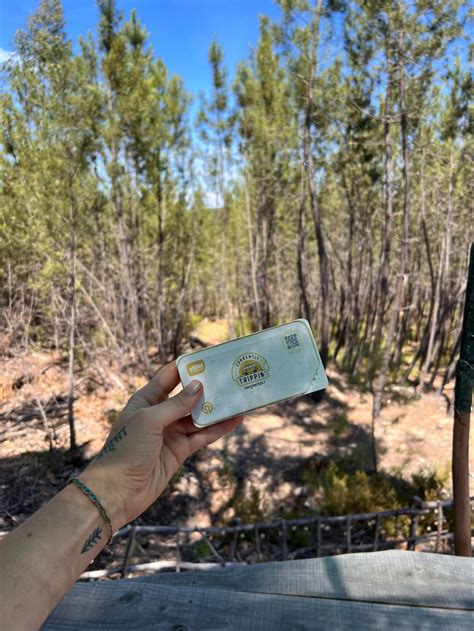 Mobile Router Guide Setting Up And Configuring ConnectPls