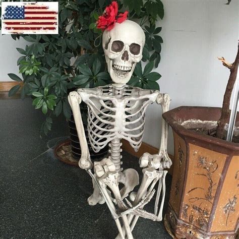 Halloween Full Life Size Human Skeleton Poseable Party Prop