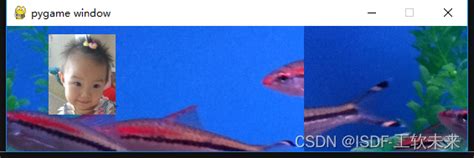 Python使用pygame做第一个孩子游戏python 编写游戏 和女儿 Csdn博客
