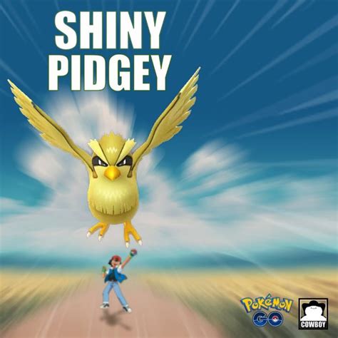 Pokemon Go Game Play Shiny Pidgey Catch Cats And Shiny Pokemon