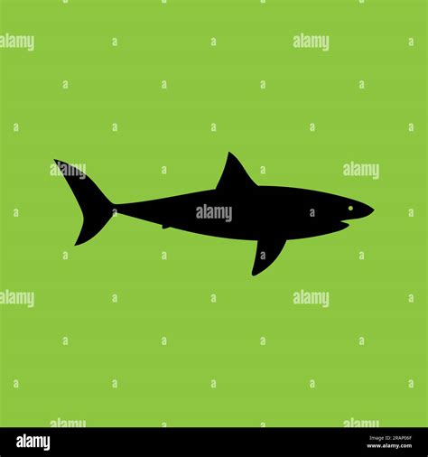 Great White Shark Side View Silhouette Vector Vector Illustration