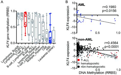 Regulation Of Klf4 Expression In Leukemic Cell Lines A Analysis Of