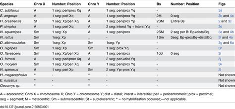 Name Of The Species Morphology Of Sex Chromosomes Number And Position