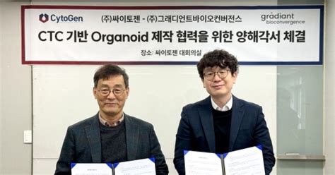 싸이토젠 환자 맞춤 항암제 찾는다 오가노이드 제작 정밀의료 시장 공략