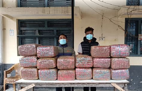 वीरगञ्जमा एक सय ६० किलो गाँजासहित दुई जना पक्राउ Ujyaalo Online