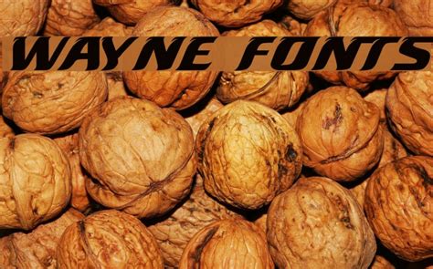 Wayne Fonts Font