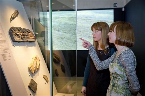 Scottish Fossil Code And Guidance Naturescot