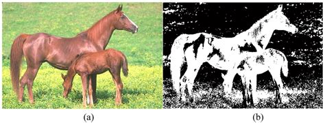 Algorithms Special Issue Clustering Algorithms