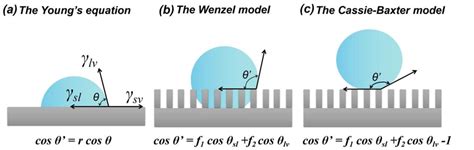 Three Typical Wetting Models A Youngs Equation B The Wenzel Download Scientific Diagram