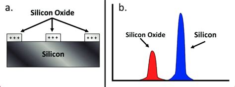 A Differential Charging Can Occur When A Sample Has Insulating And