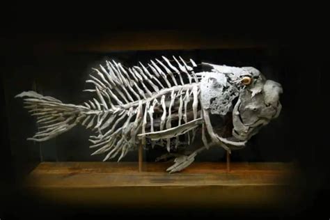 How To Make Driftwood Sculpture Driftwood Academy