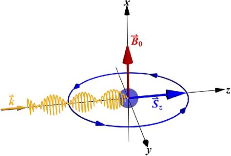 Schematic Diagram Of The Optically Driven Spin Precession Magnetometer Download Scientific