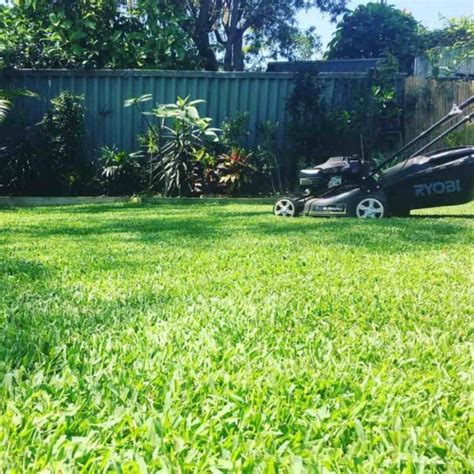 Lime Vs Gypsum What Is The Difference All Year Round Turf Supplies