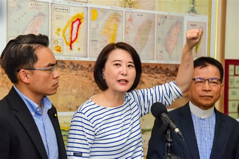 王鴻薇「甩巴掌」控林楚茵先動手、還被黃捷偷踢 嗆綠打人喊救人