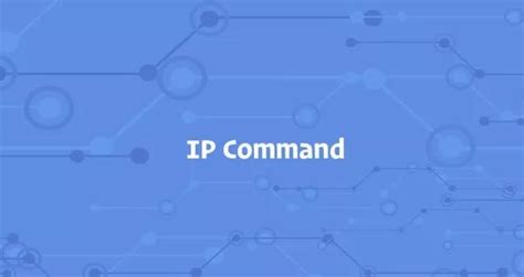 Linux 查看外网IP地址