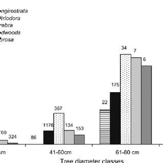 The Relationship Between Tree Species And Diameter And The Occurrence Download Scientific