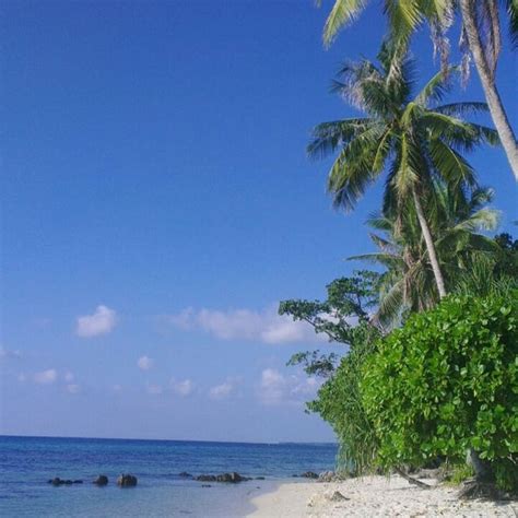 Taman Nasional Karimunjawa Tips