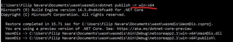 Nuget Package Not Copied On Buildpublish Not Found On Run · Issue