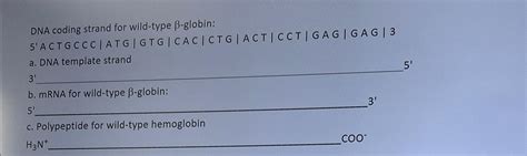 Solved Dna Coding Strand For Wild Type β Globina ﻿dna