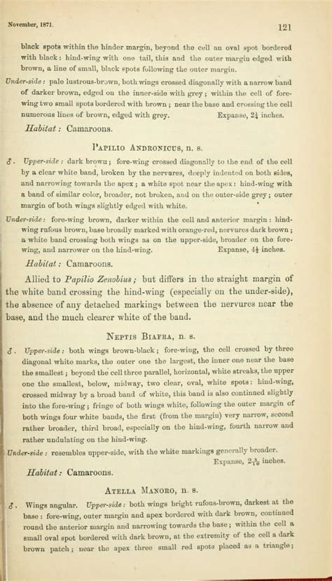 Papilio Andronicus Alchetron The Free Social Encyclopedia