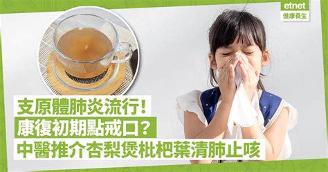 支原體肺炎流行！以小童為主？中醫：病後要注意飲食！康復初期點戒口？推介杏梨煲枇杷葉、五花去濕茶清肺止咳 中醫話 中醫養生 健康好