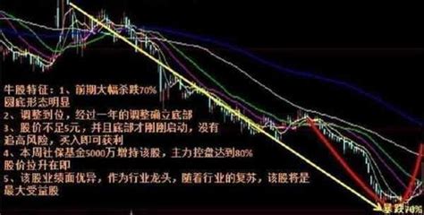 一位老股民盈利至今，只因悟出這招選股鐵律，再忙也要看看！ 每日頭條