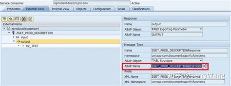 最详细的 Sap Abap Web Service 创建和消费步骤讲解 知乎