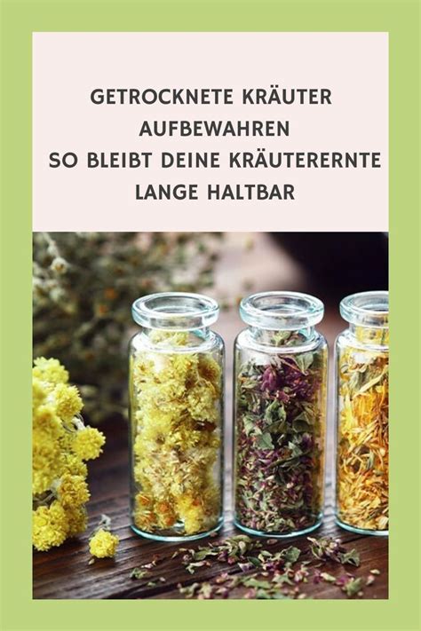 Getrocknete Kräuter aufbewahren so bleibt deine Kräuterernte lange