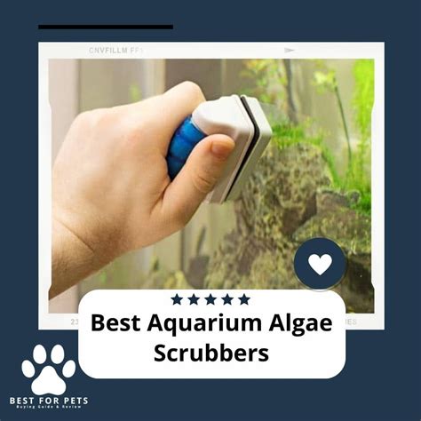 The 9 Best Filters For 30 Gallon Fish Tanks