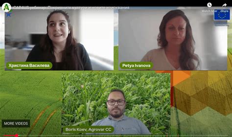 Кога какви покривни култури е най добре да бъдат избрани АБНТ