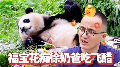 花痴福宝咩咩叫吸引帅哥，女儿奴徐奶爸吃飞醋，看到福宝咧嘴笑心里发酸【追娱秀场】 Youtube