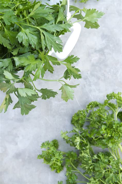 Everything You Need To Know About Growing Parsley Kitchn