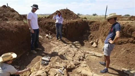 ‘very Important Remarkable Fossil Discovery Made In Queensland Queensland Museums Dr Espen