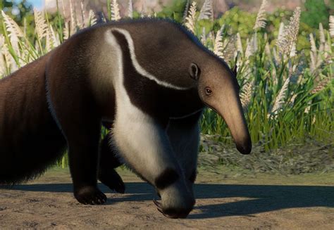 Oso Hormiguero Gigante Planet Zoo Wiki Fandom
